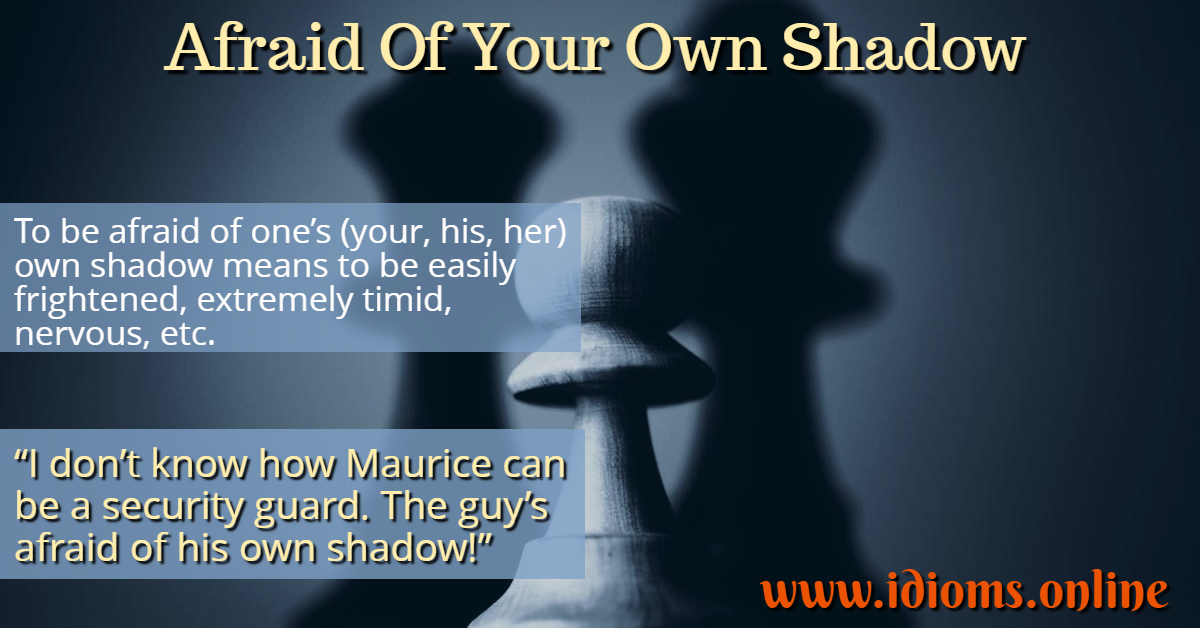 Afraid Of Your Own Shadow | Idioms Online
