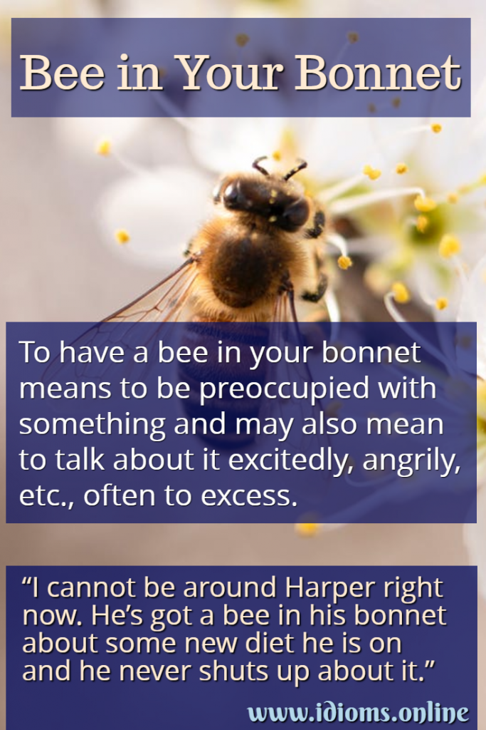 Bee In Your (His/Her) Bonnet, to have a | Idioms Online