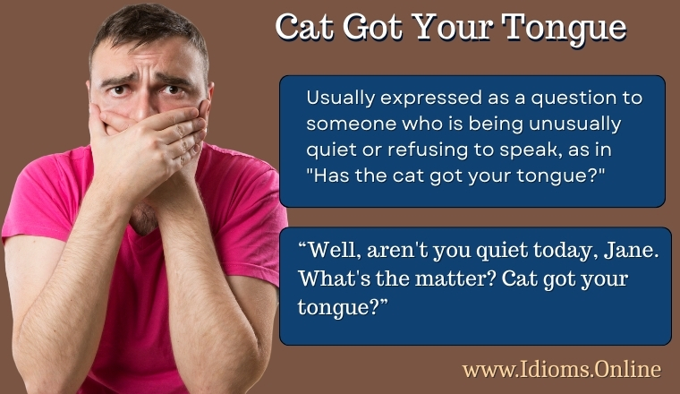 Cat Got Your Tongue Idiom