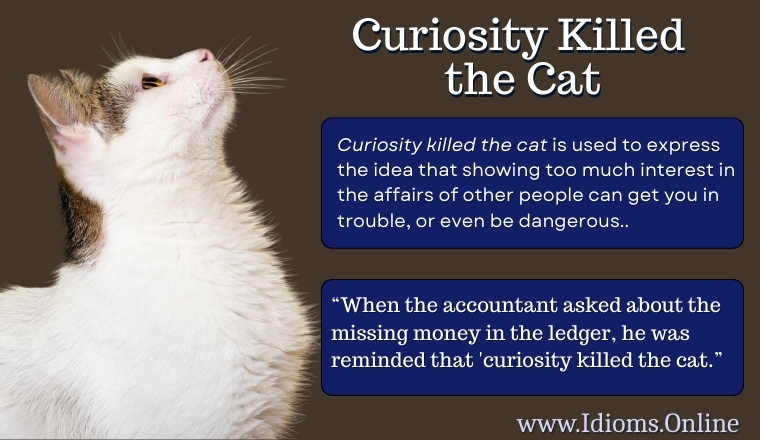 Curiosity Killed the Cat | Idioms Online