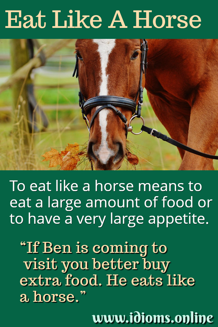 Eat Like A Horse | Idioms Online