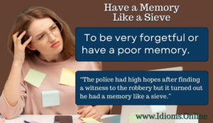 Have a Memory Like a Sieve | Idioms Online