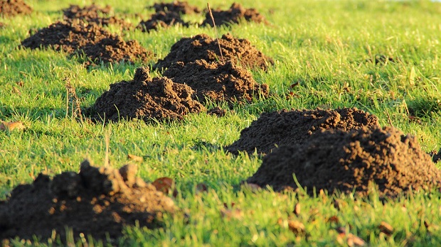 Make a Mountain Out of a Molehill | Idioms Online