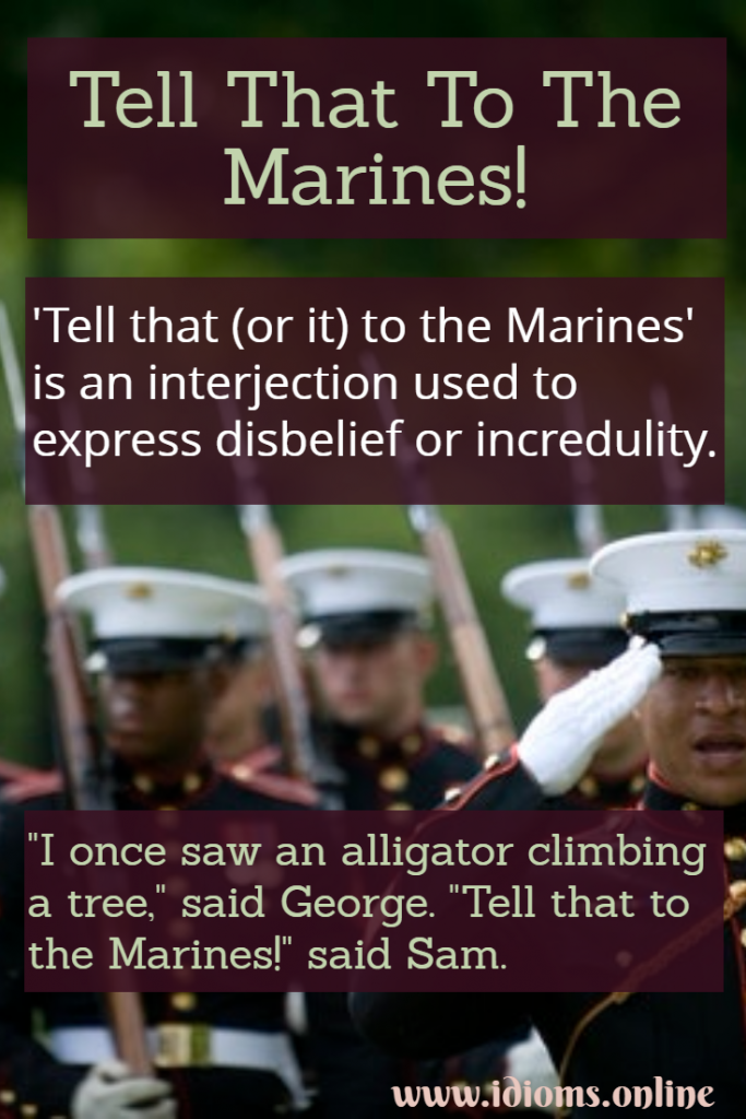 Tell That To The Marines! | Idioms Online