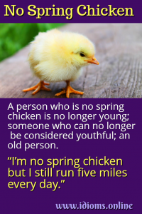No Spring Chicken | Idioms Online