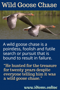 Wild Goose Chase | Idioms Online