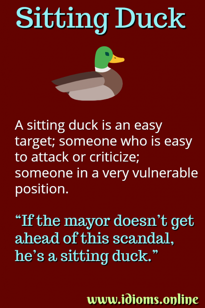 Sitting Duck | Idioms Online