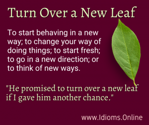 Turn Over a New Leaf | Idioms Online