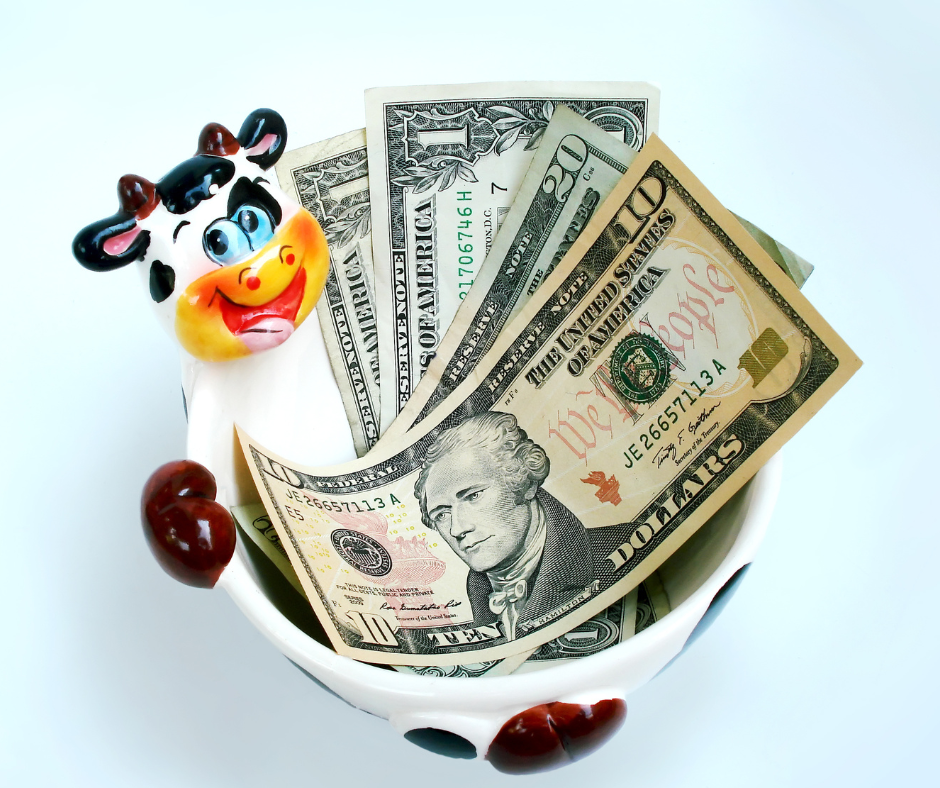 60 Animal Idioms In English | Idioms Online