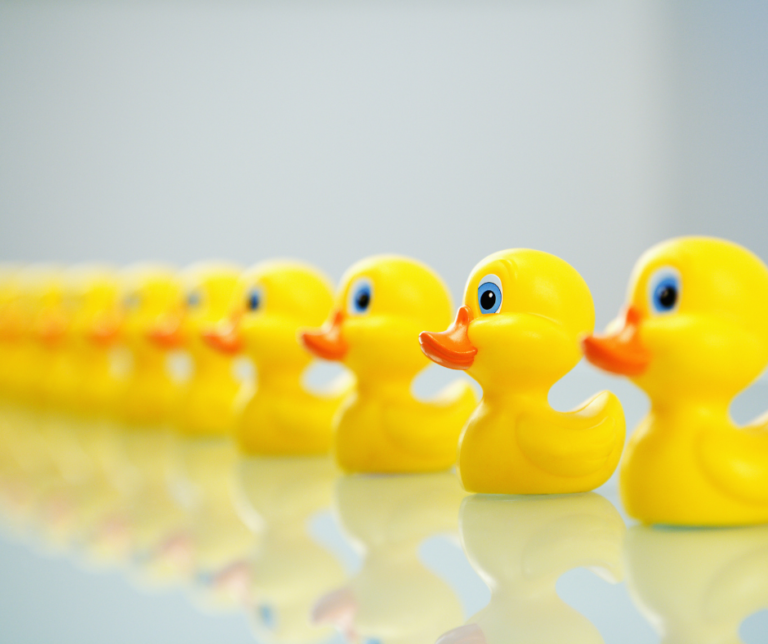 Get Your Ducks in a Row | Idioms Online