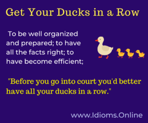 Get Your Ducks in a Row | Idioms Online