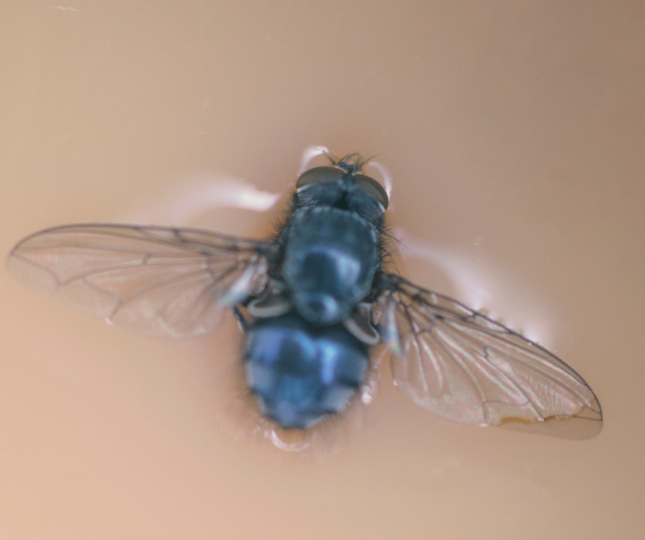 25 English Idioms From the Bible | Idioms Online