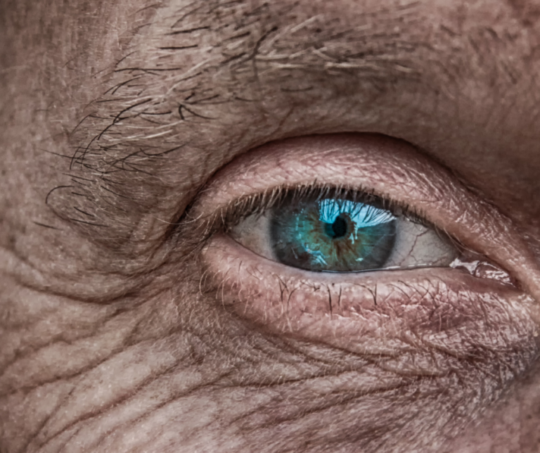 25 Bird Idioms In English | Idioms Online