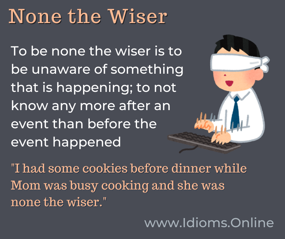 None the Wiser Meaning | Idioms Online