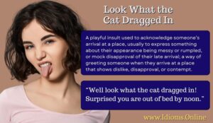 Look What the Cat Dragged In | Idioms Online